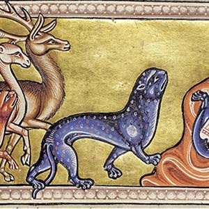 Professor Nigel Harris - inaugural lecture