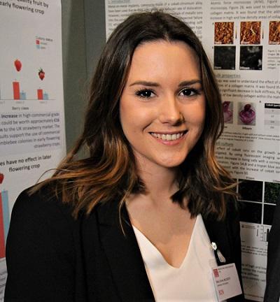 Development of a wound dressing to reduce surface scarring of the eye ...