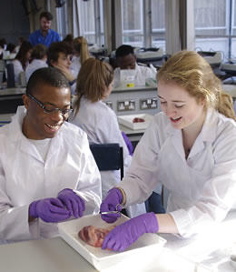 Biosciences degrees score full marks in 2016 National Student Survey ...