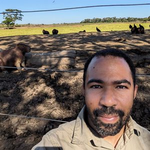 David J. Pereira - University of Birmingham