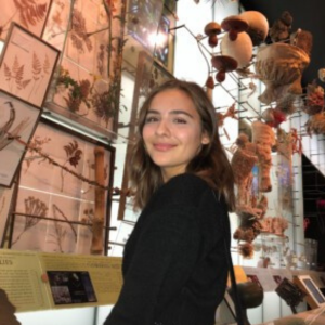 Grace Handy - School of Geography, Earth and Environmental Sciences ...