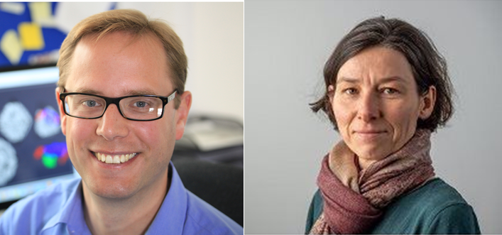 Targeted therapies for heart failure research receives £850,000 boost ...