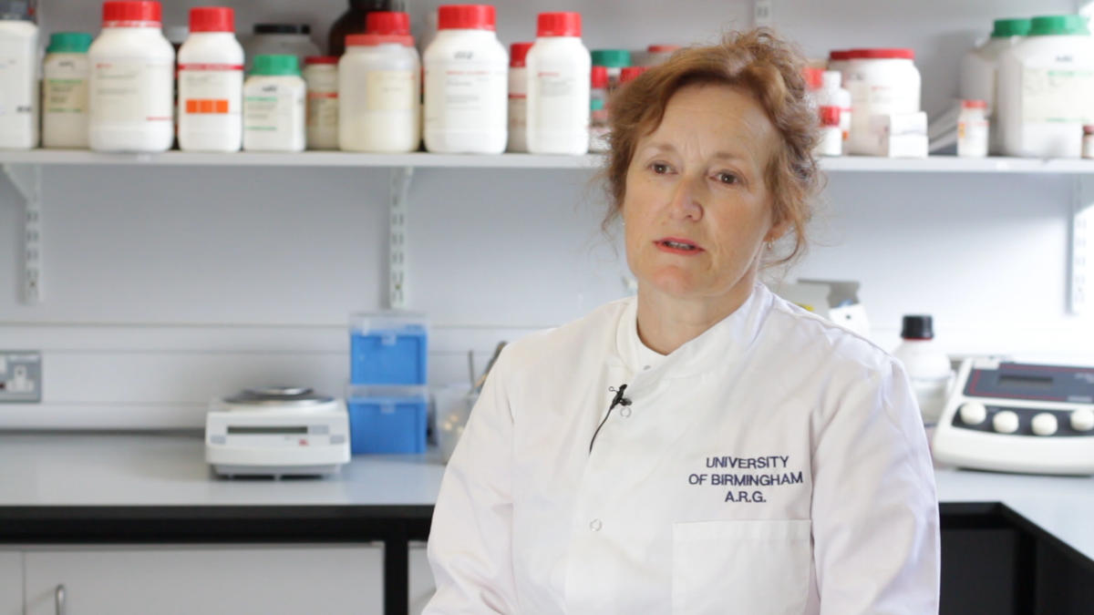 Professor receives award for significant contribution to antimicrobial ...