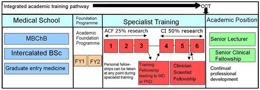 About us - University of Birmingham