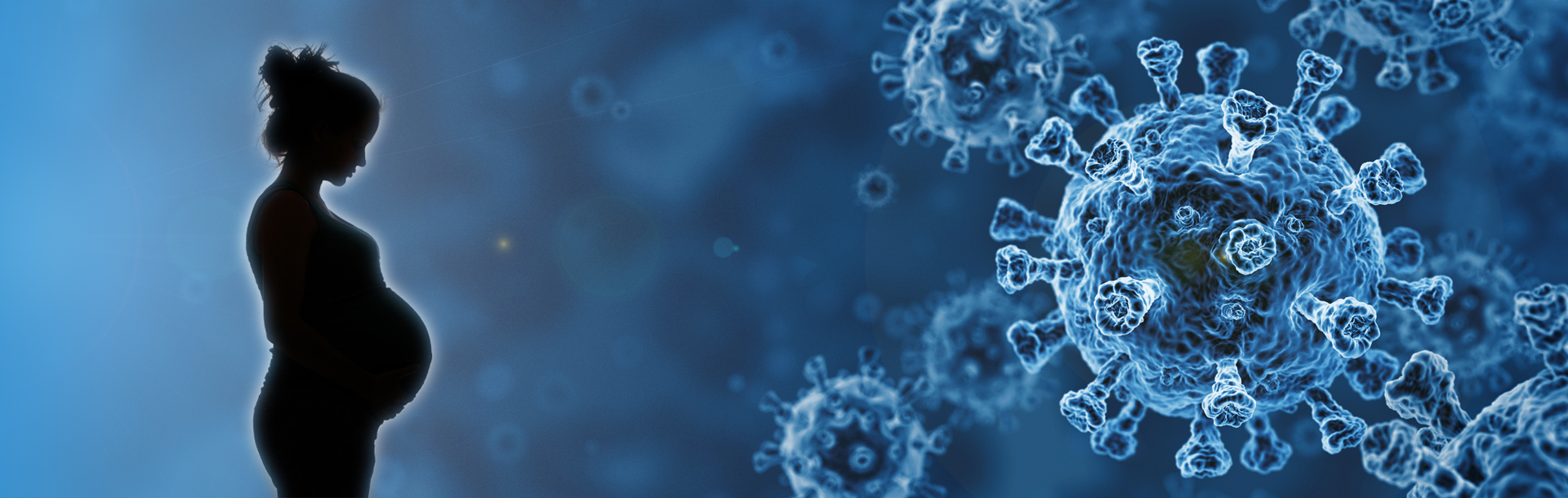 COVID-19 in Pregnancy (PregCOV-19LSR) - University of Birmingham