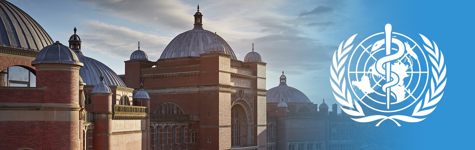 WHO Collaborating Centre for Global Women's Health - University of ...