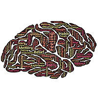 Collander Forgetful Brain