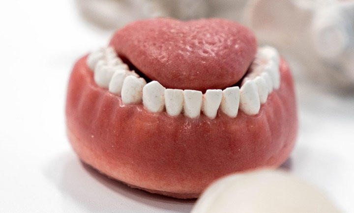 Dental students to train on 'lifelike' mouth models - University of ...