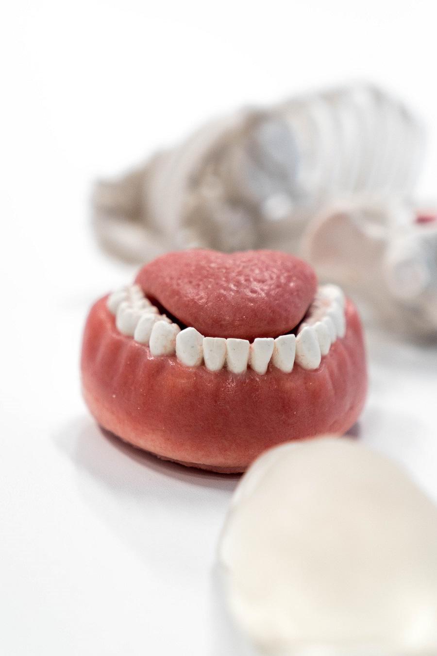 Dental students to train on 'lifelike' mouth models - University of ...