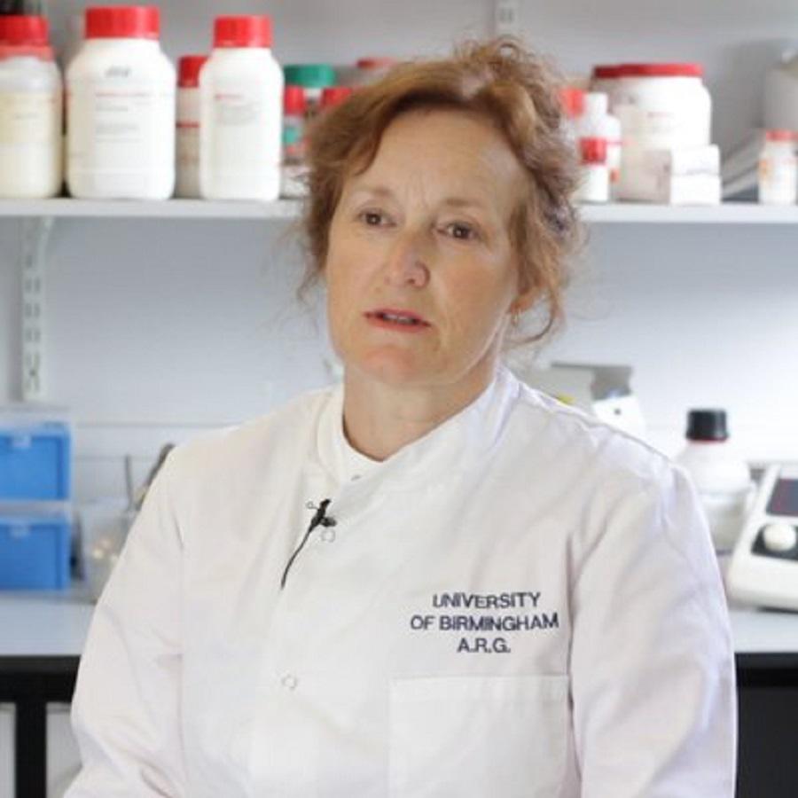 Professor receives award for significant contribution to antimicrobial ...