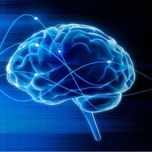 Magnetic brain waves to detect injury and disease - University of ...