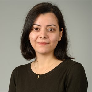 Dr Hamideh Mohtashami Borzadaran - Department of Applied Health ...