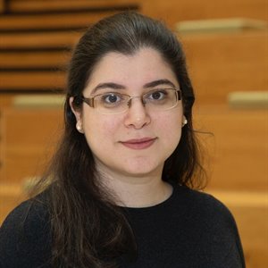 Dr Nasim Mahmoodi, Electronic, Electrical and Systems Engineering ...