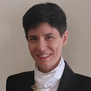 Dr Sanaz Roshanmanesh - School of Metallurgy and Materials - University ...