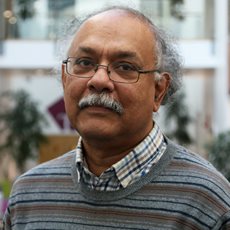 Anindya Banerjee | University of Birmingham - University of Birmingham