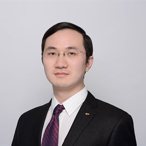 Xin Gao - The Department of Economics - University of Birmingham