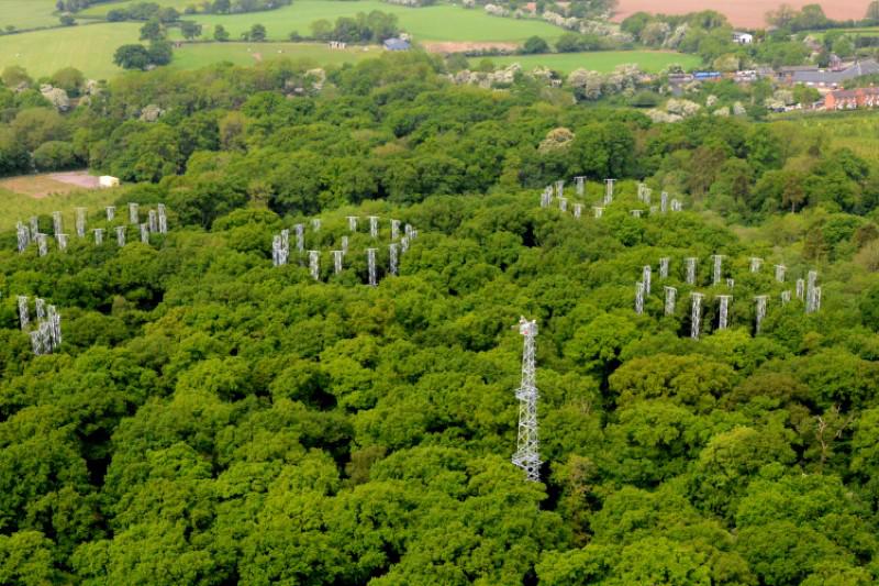 Seeing the unseen: birth and death of tree roots under a future ...