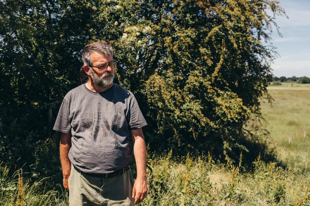 How the University of Birmingham leads the fascinating field of insect ...