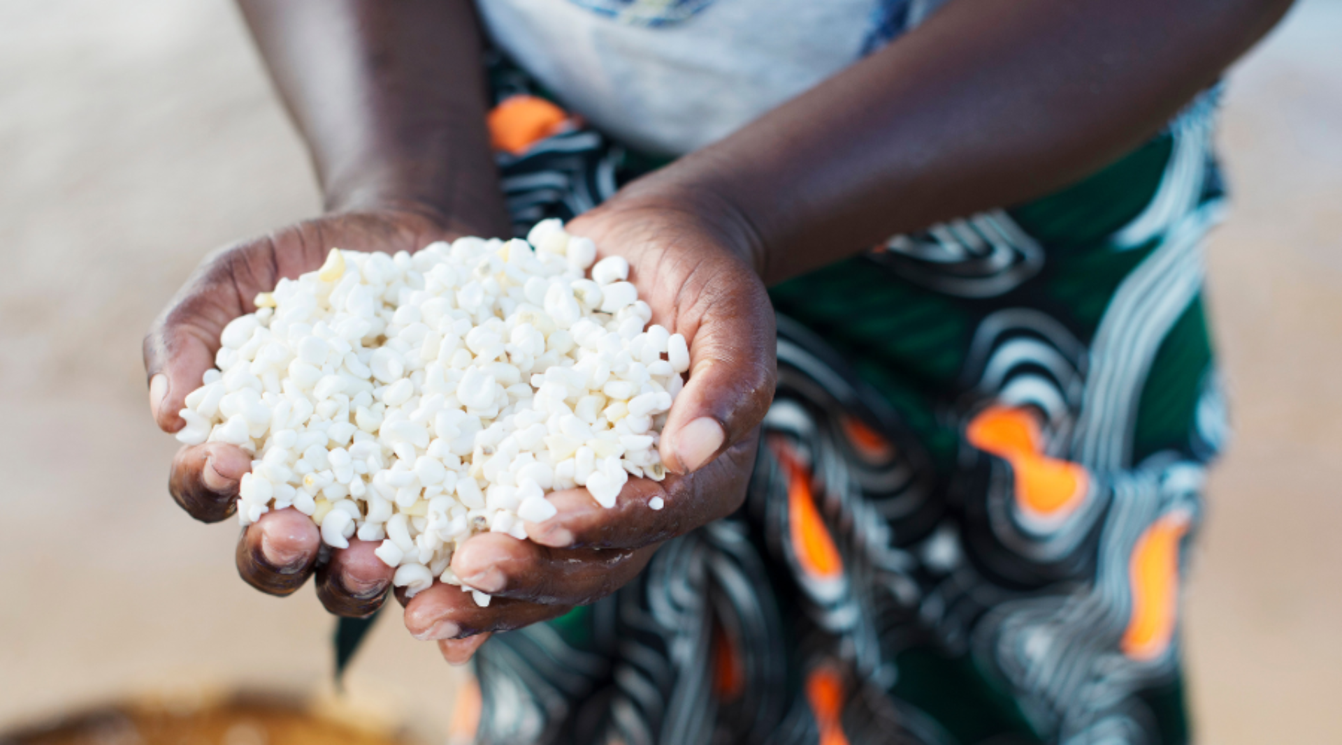 Birmingham Food Network - University of Birmingham