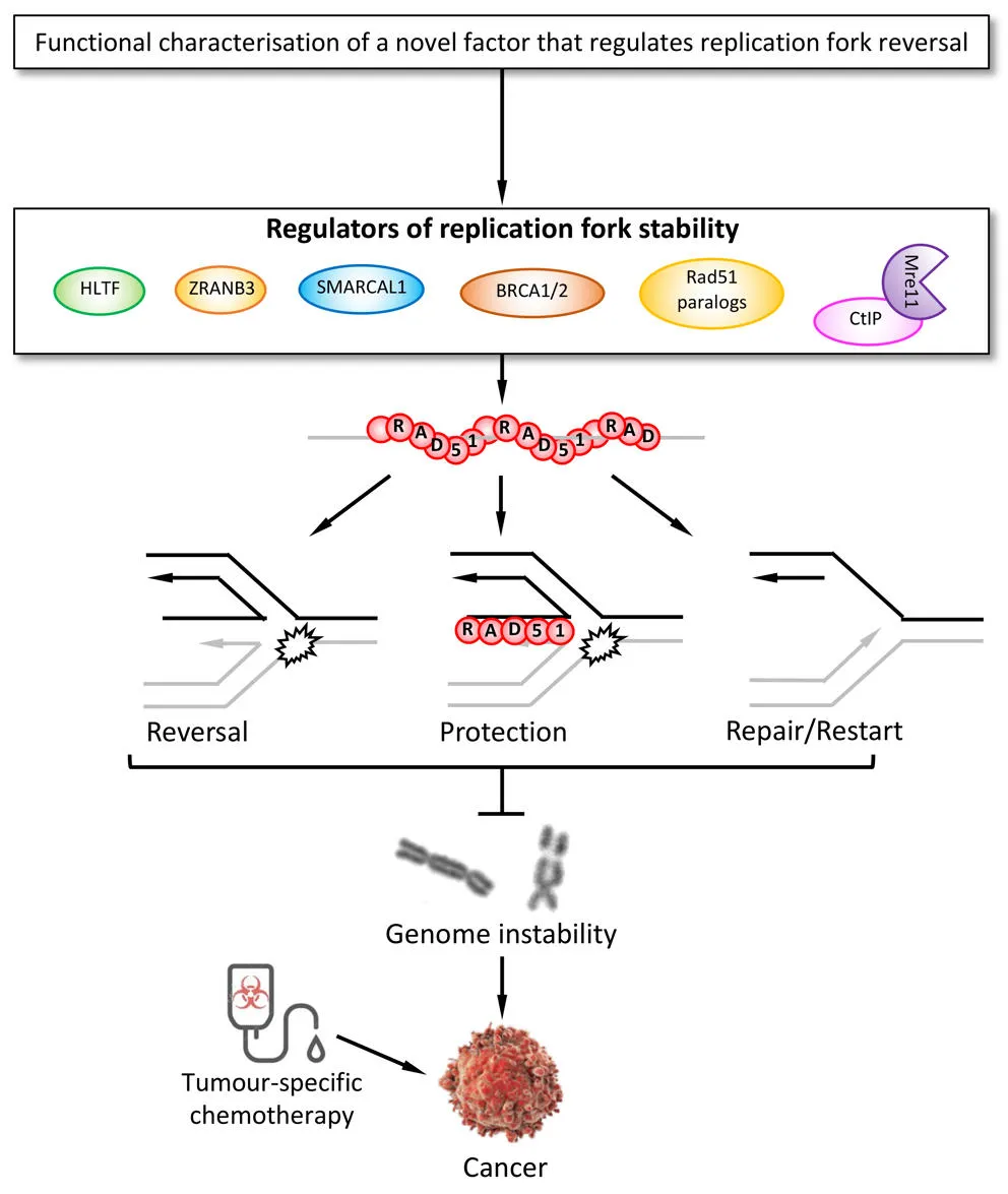 Birmingham Researchers secure a Biotechnology and Biological Sciences ...
