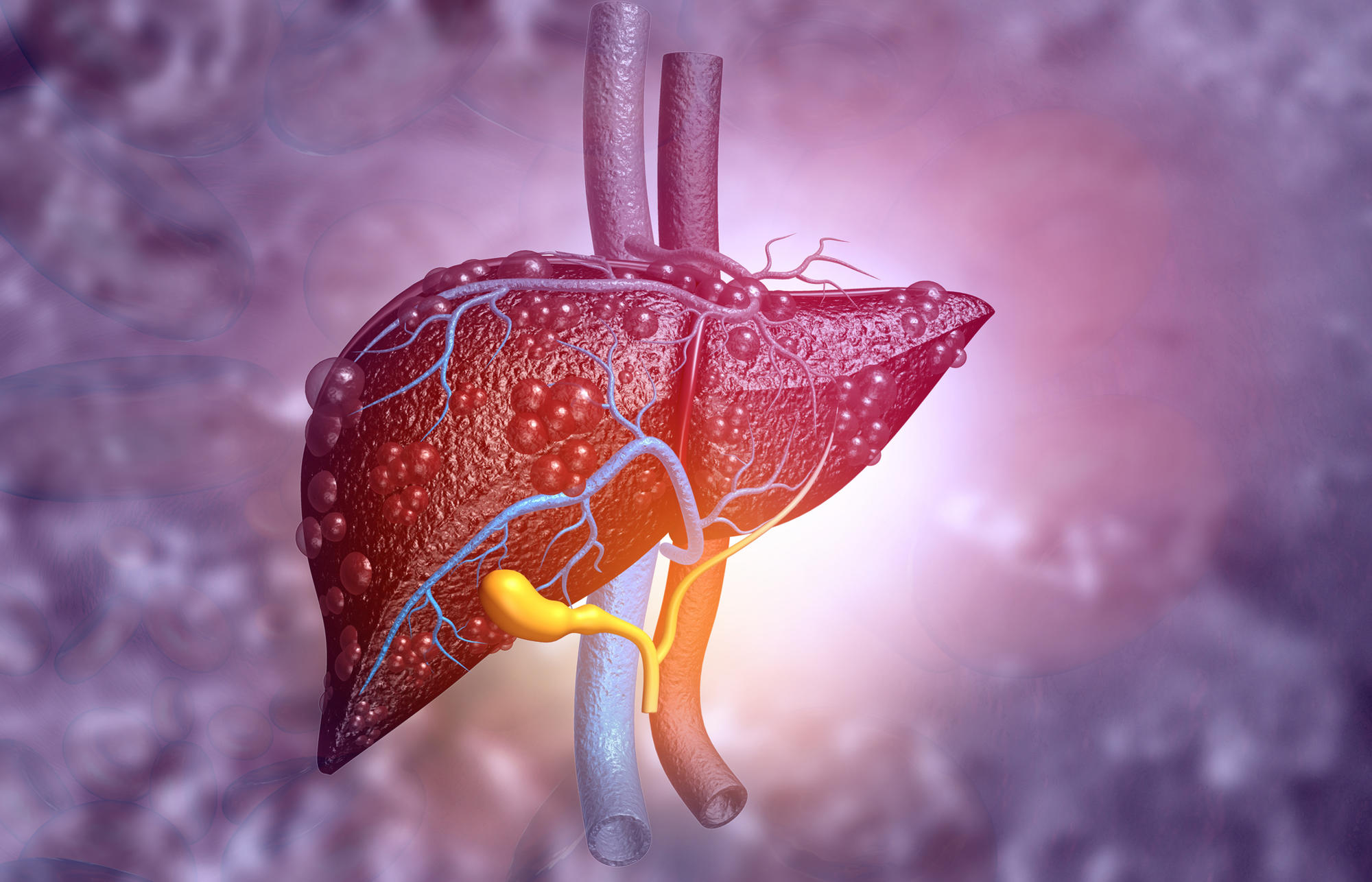 Promising target for liver disease treatments identified - University ...