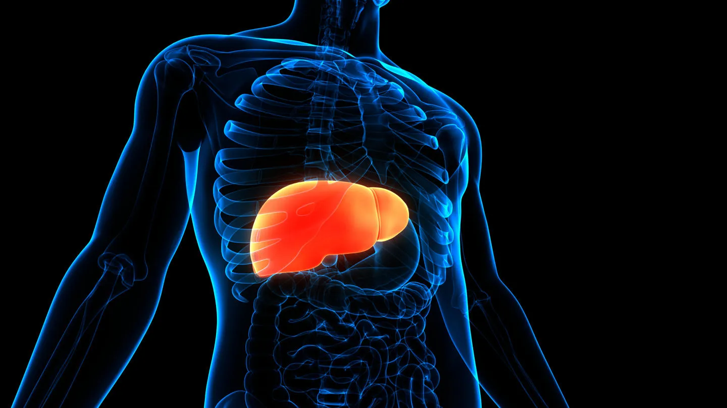 New inflammatory mechanisms unveiled in the setting of liver disease ...