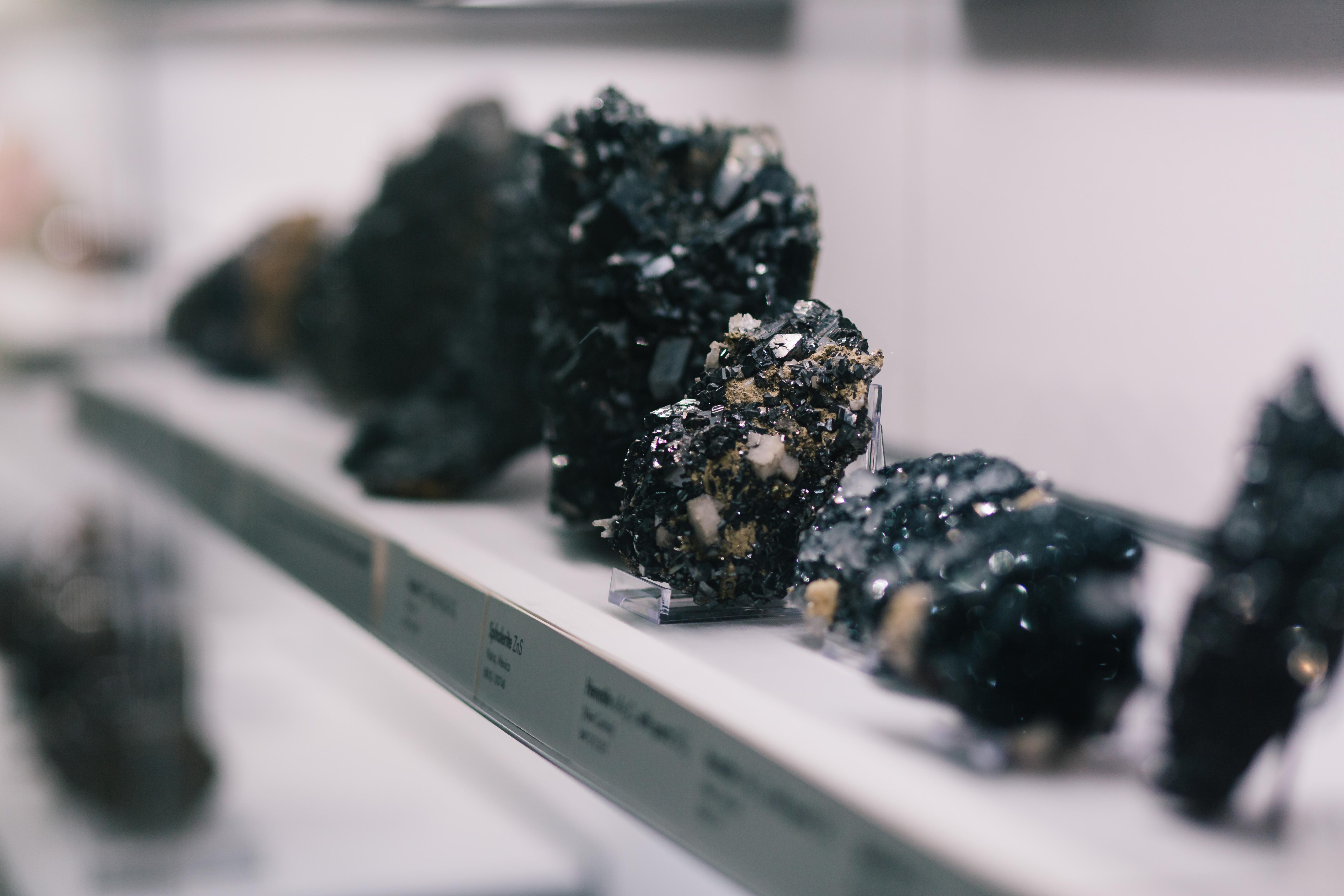 Visit the Lapworth Museum - University of Birmingham
