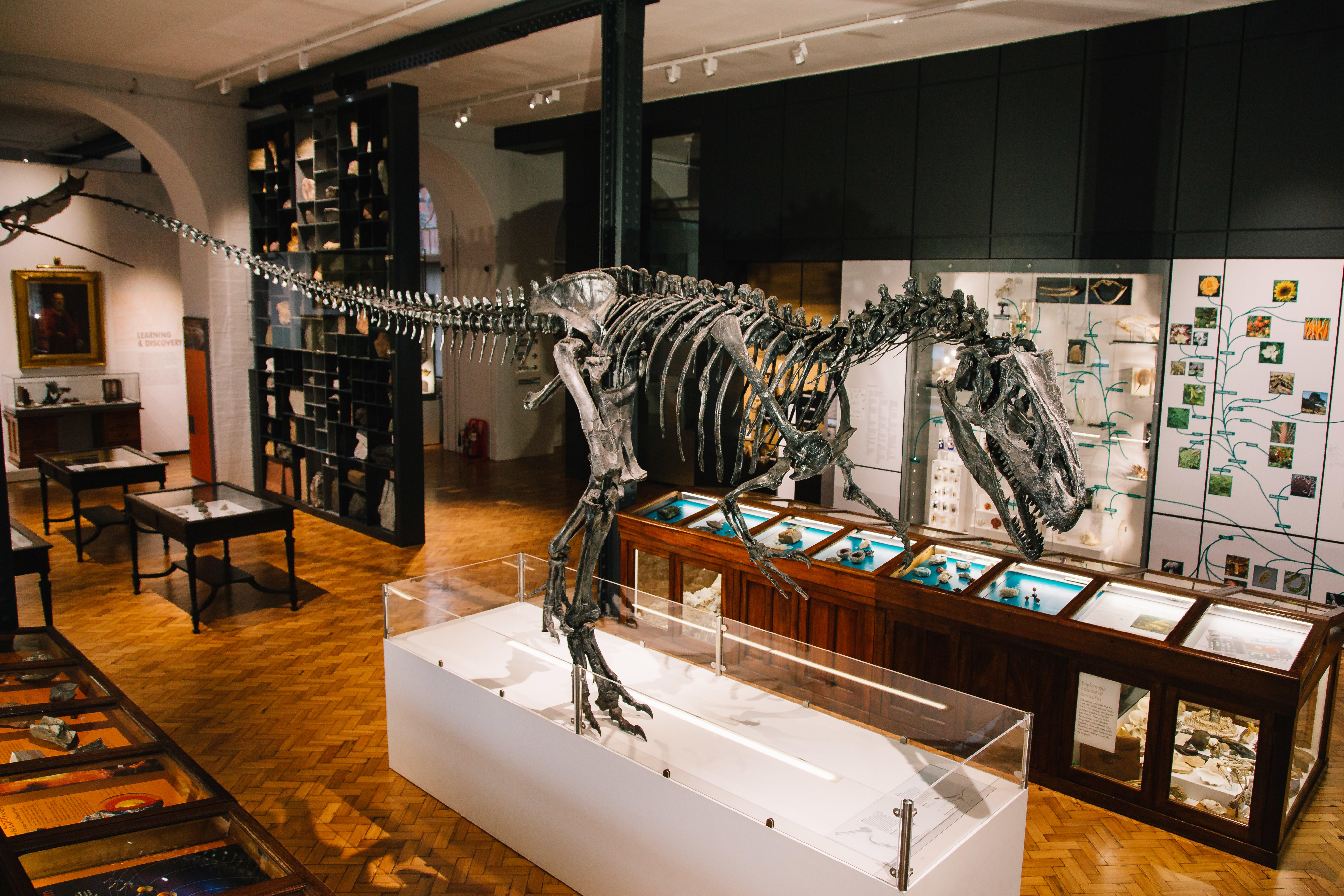 The Lapworth Museum of Geology - University of Birmingham