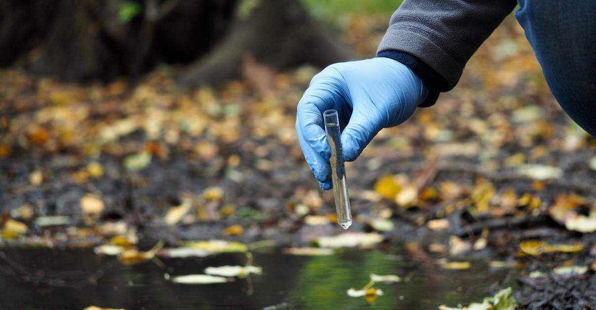 Michabo Health Science: research on behalf of the European Chemicals ...