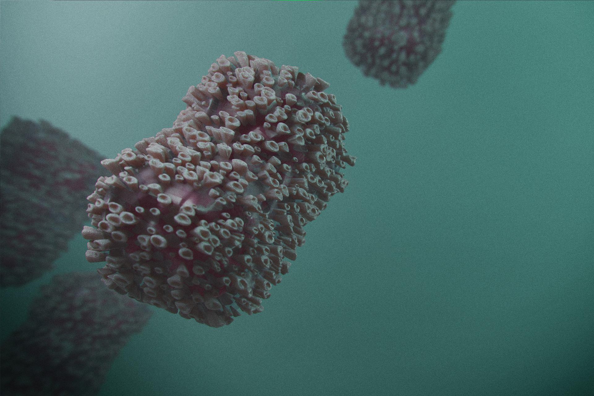 Monkeypox research to benefit from genetic coding lessons taken from ...