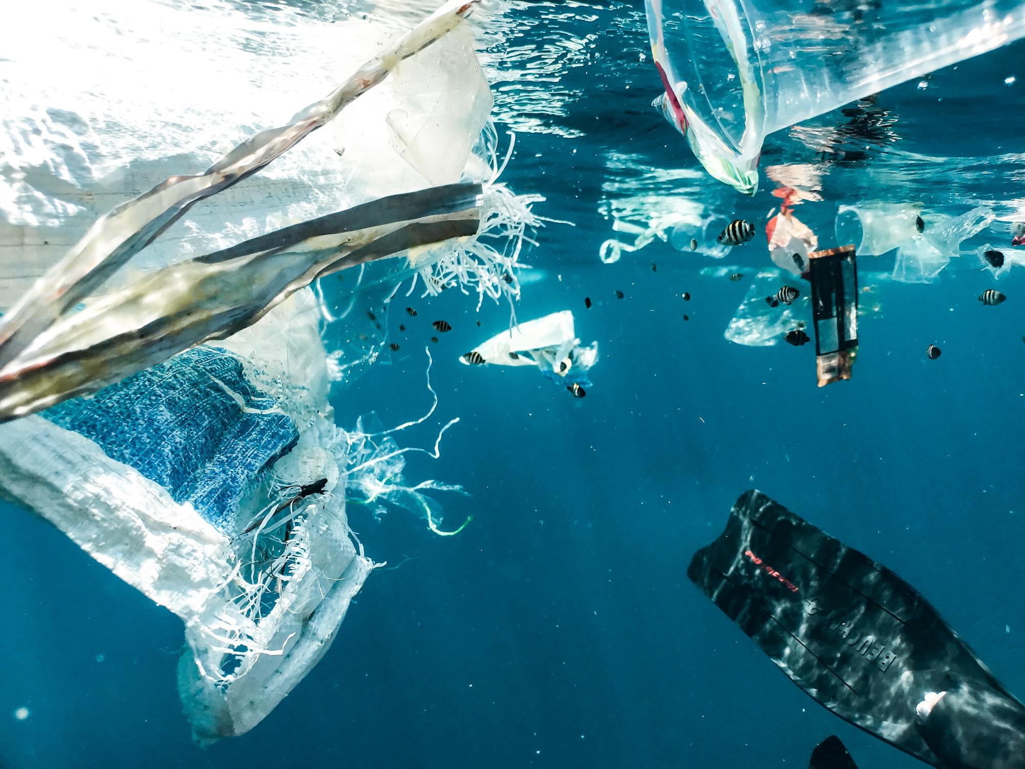 Reducing society’s reliance on single use plastics requires a joined-up ...