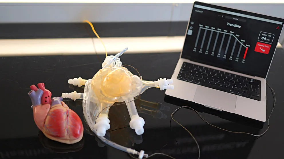 Fallouh Healthcare wins funding to develop device providing early ...
