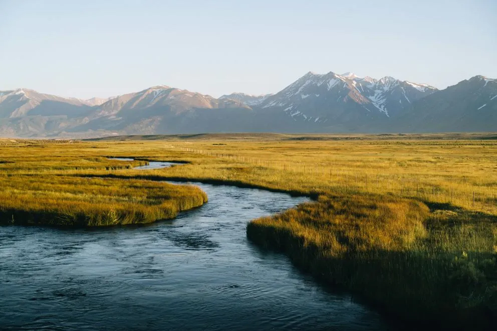 River water temperatures swing hot to cold: discovery shows value of ...