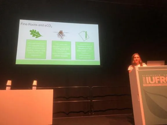 BIFoR Research Showcase at IUFRO 26th World Congress - University of ...