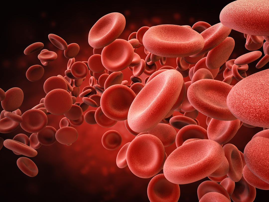 Birmingham Platelet Group - University of Birmingham