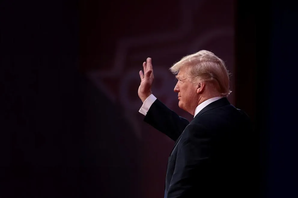 Finding order in a chaotic world: Understanding the Trump assassination ...