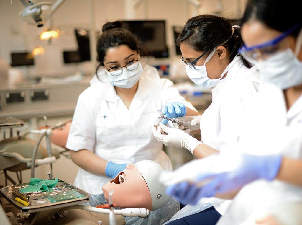 Dental Hygiene and Therapy BSc - University of Birmingham