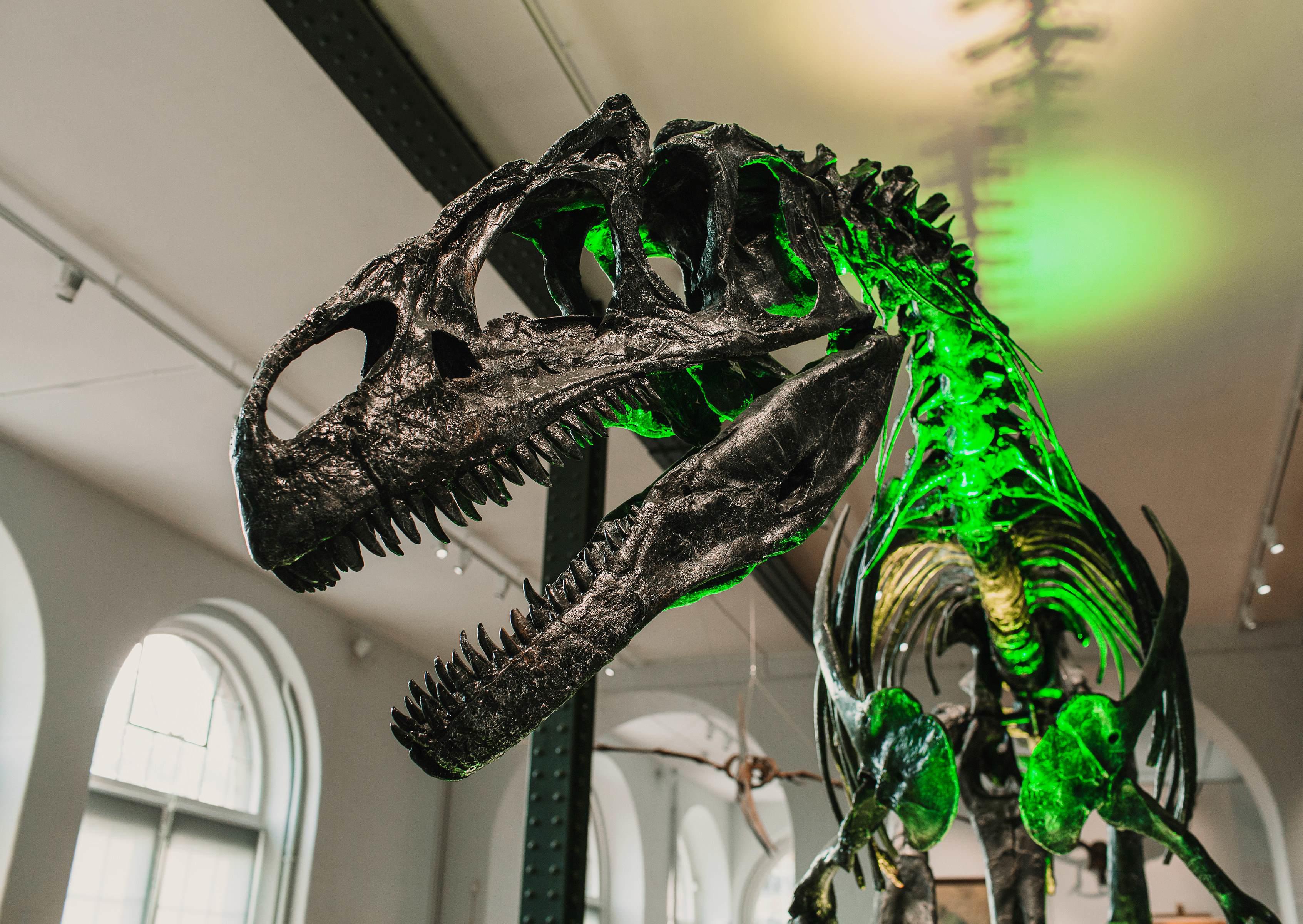 News at the Lapworth Museum - University of Birmingham