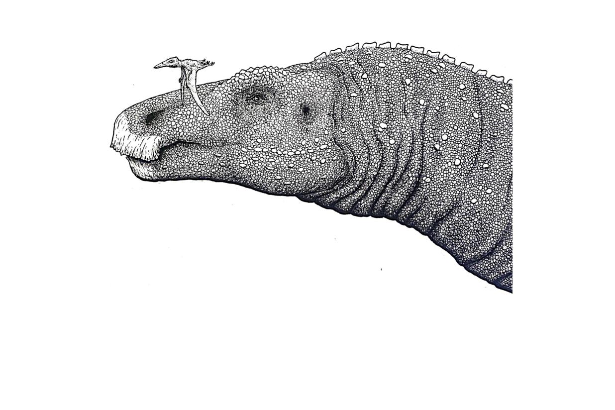 Eye to eye with dinosaurs - University of Birmingham