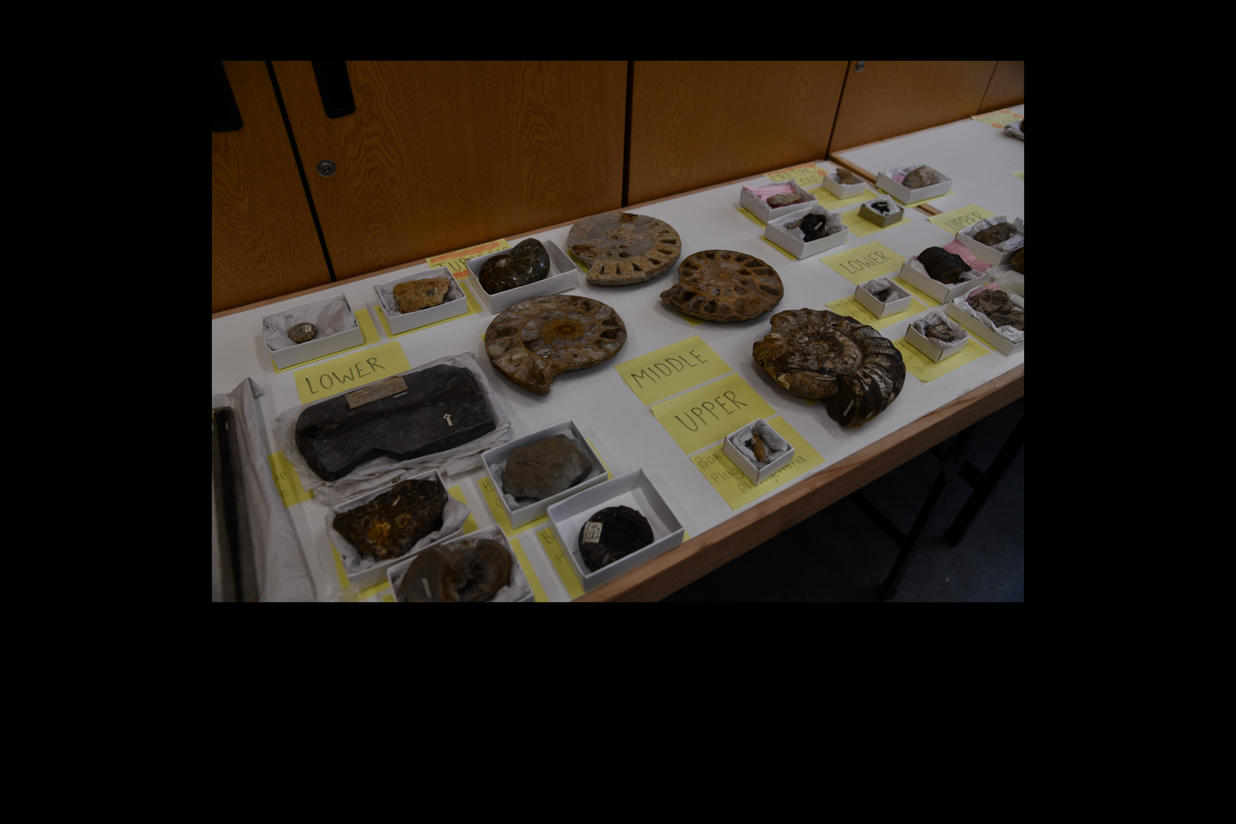 Curation and creation: the Lapworth Museum of Geology summer ...
