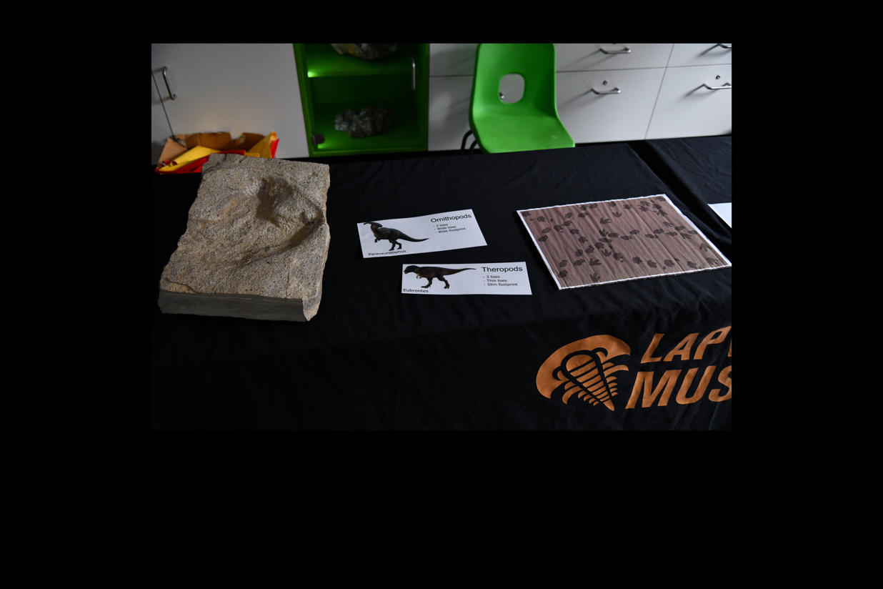 Curation and creation: the Lapworth Museum of Geology summer ...