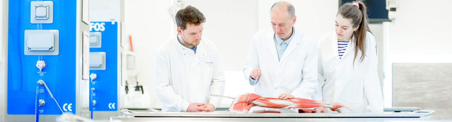 Undergraduate Medicine and Health courses - University of Birmingham