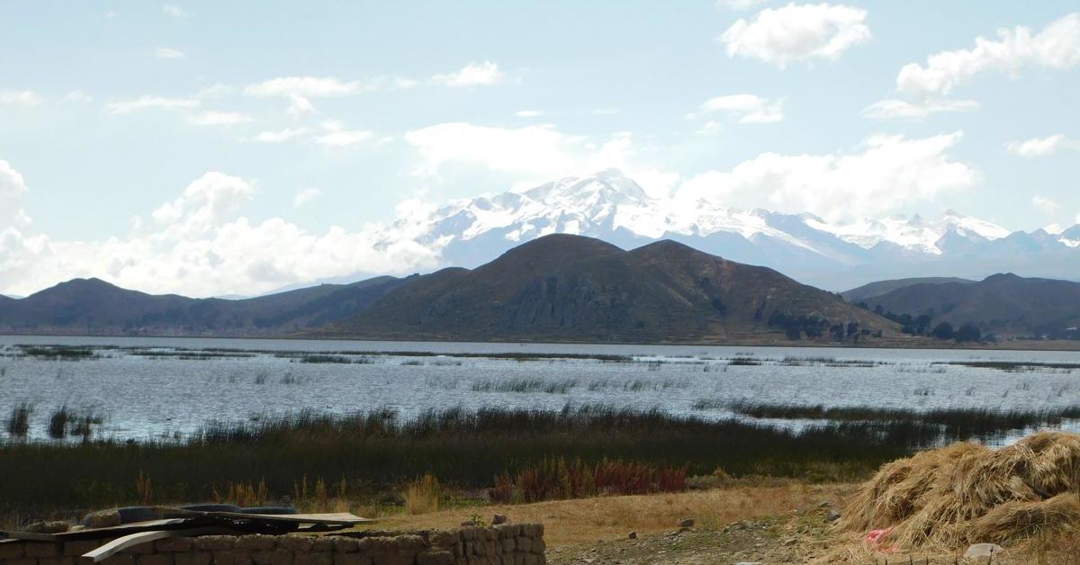 Lapworth Lecture - The Importance of Fieldwork for Macroecology and ...